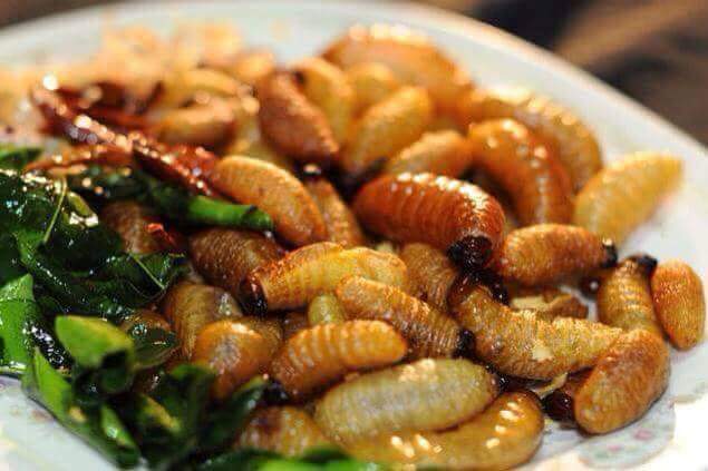 Jom Challenge Diri Makan Ulat Sagu Guys! Orang Sabah Kata Sedap… - Raja ...